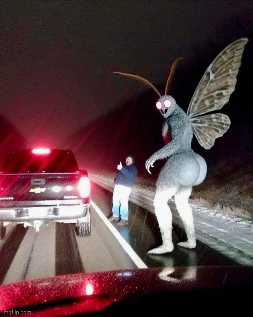 Mothman cake - Imgflip