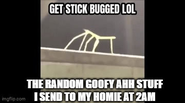 the random goofy ahh stuff i send to my homie at 2am - Imgflip