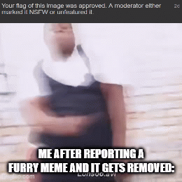 imagine someone reporting every meme about hating 67 - Imgflip