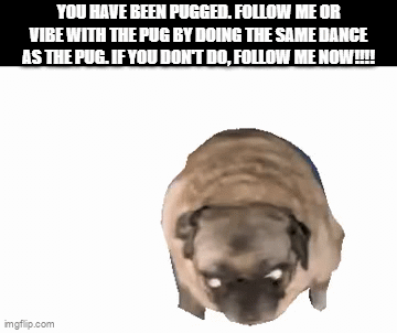 (pug song (pug noises)) - Imgflip