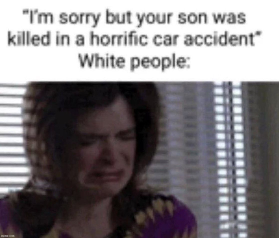 what in the mcqueef mcbeef did i just read - Imgflip