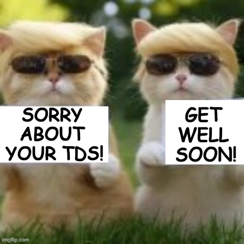 TDS Memes - Imgflip