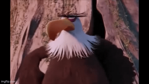 mighty eagle says no - Imgflip