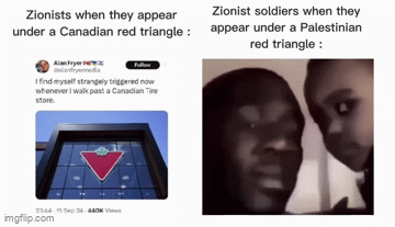 Survival rate : Slim to none - Imgflip