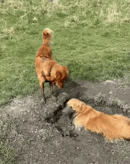 That's Not What I Meant by "You Need to Take a Bath" - Imgflip