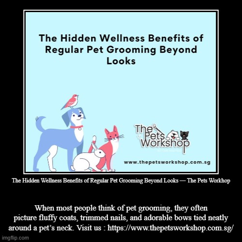 The Hidden Wellness Benefits of Regular Pet Grooming Beyond Looks — The ...