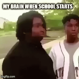 My Brain - Imgflip