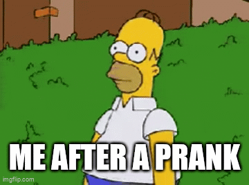 Homer disappears into bush - Imgflip