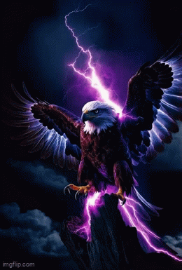 Lightning eagle - Imgflip