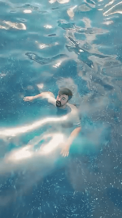 Diazonema_eccentrica Request - Imgflip