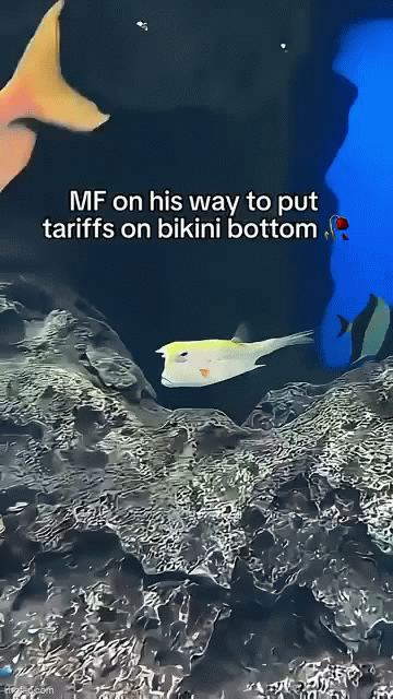 Animated GIF - Imgflip