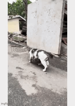 When You Have A Clingy Little Friend - Imgflip