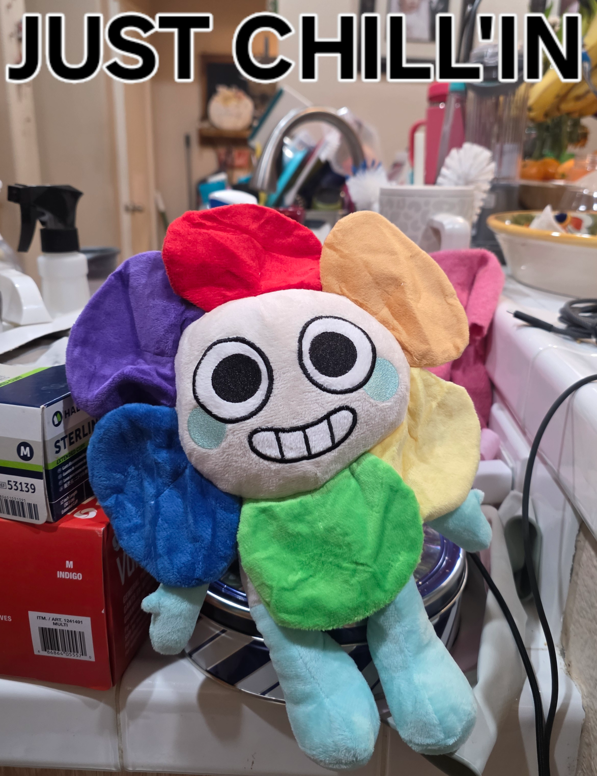 DW PLUSH Memes - Imgflip