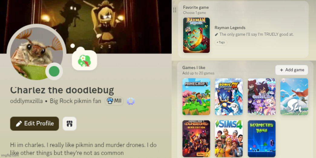 Rate the profile - Imgflip