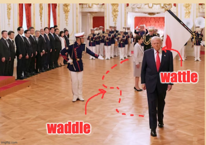 Wasted pardon - Imgflip