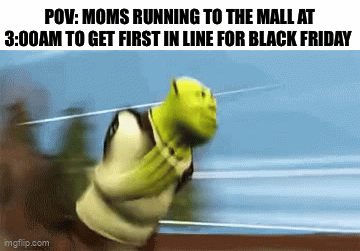 Black Friday pov: - Imgflip