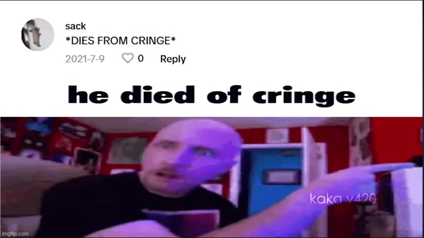 new "DIES FROM CRINGE" reaction temp - Imgflip