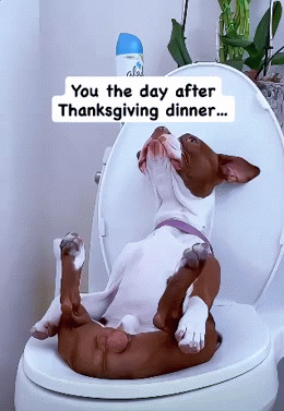 the day after - Imgflip