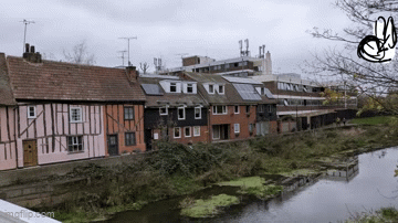 Rough animation, a bird flying in the town. - Imgflip