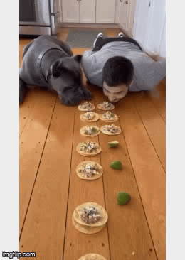 Speedy Hoovering Up Food Challenge ! - Imgflip