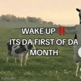 dismember is my fav month ngl - Imgflip