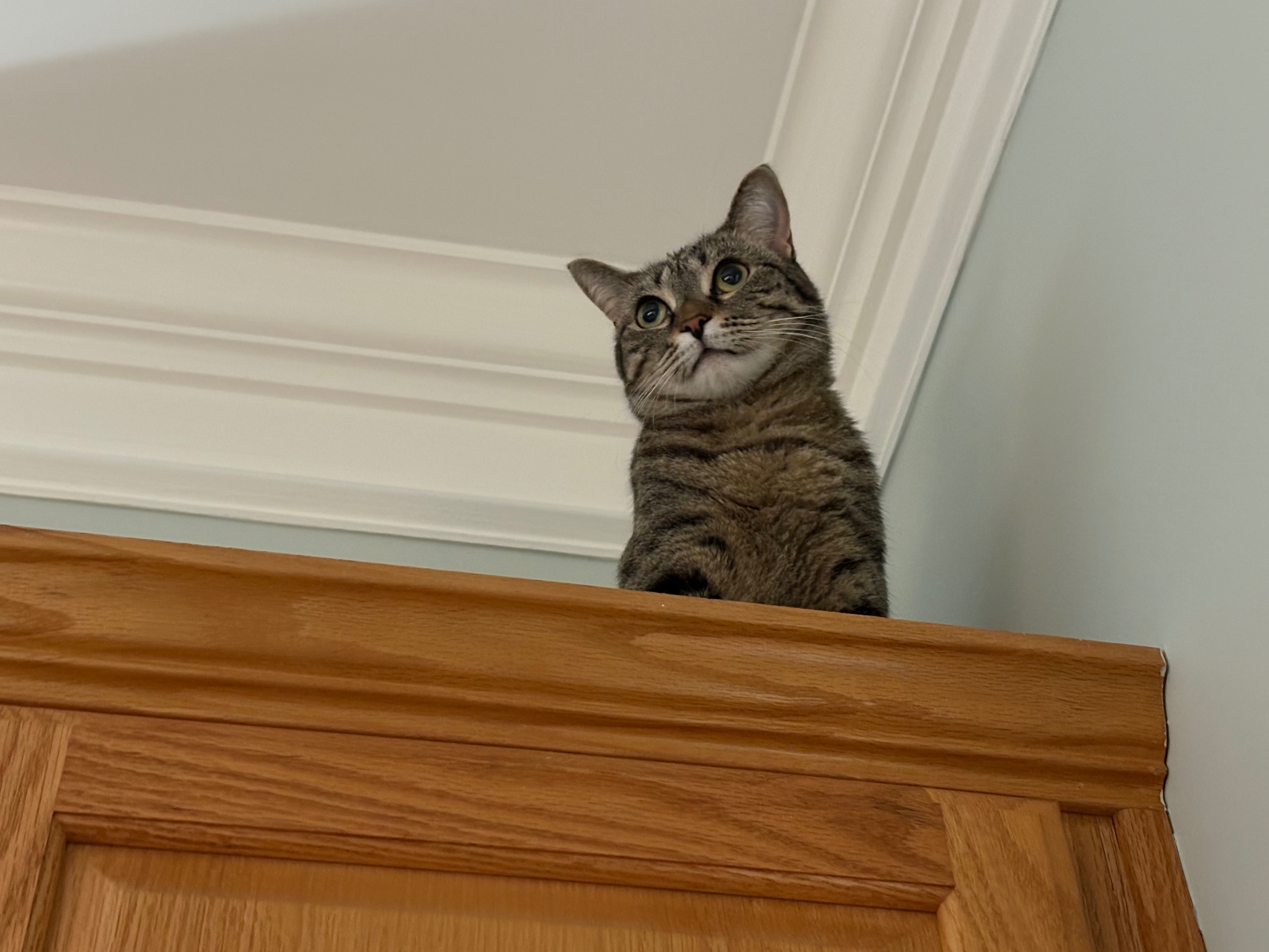 Animated GIF - Imgflip