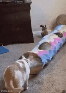 Surprise Attack ! - Imgflip