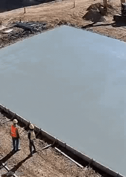 Dogs Have No Regrets Ruining Concrete ! - Imgflip