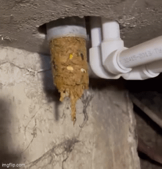 clogged pipe - Imgflip