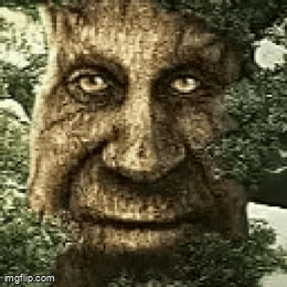 Obama tree - Imgflip