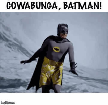 Hang ten, Batman! - Imgflip