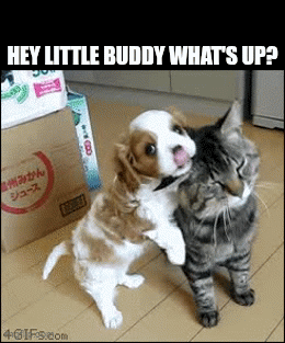 Hey little buddy - Imgflip