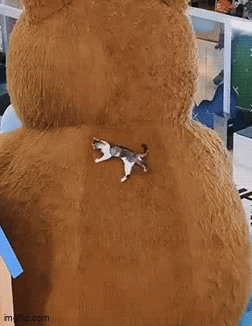 Giant comfy bear - Imgflip