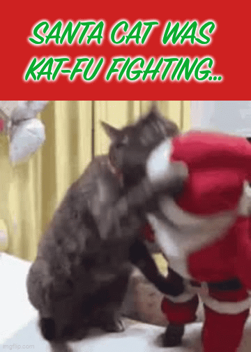 His paws were fast as lightning… - Imgflip