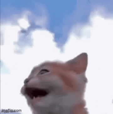 how life feels when none of the creators of the games of which i like ...