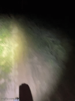 Night Ride - Imgflip