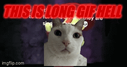 Note: this gif is long - Imgflip