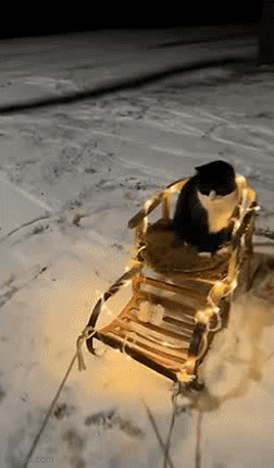 Sleigh ride - Imgflip