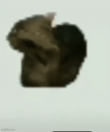 Oioioioi - Imgflip