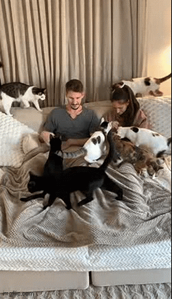 Movie night - Imgflip