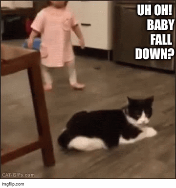 Geez, I wonder how that happened… - Imgflip