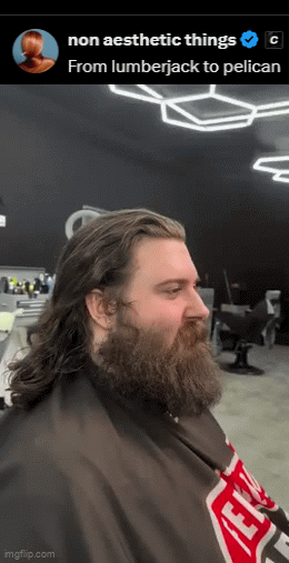Image tagged in gifs,haircut,shave,beard,lumberjack,pelican - Imgflip