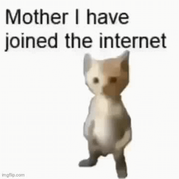 Animated GIF - Imgflip