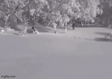 Just Enjoying 'Dashing Through The Snow' ! - Imgflip