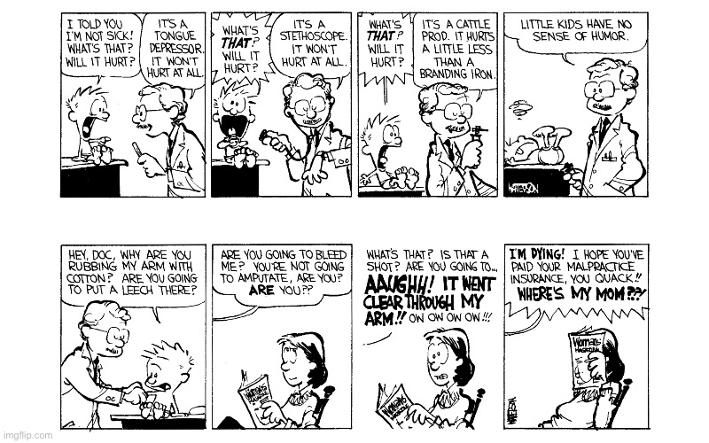Image tagged in calvin and hobbes,comics - Imgflip