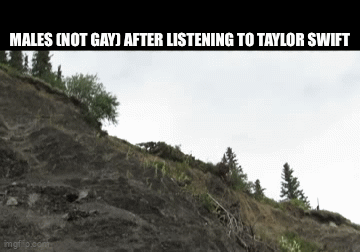 fun (maybe) - Imgflip