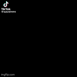 Animated GIF - Imgflip