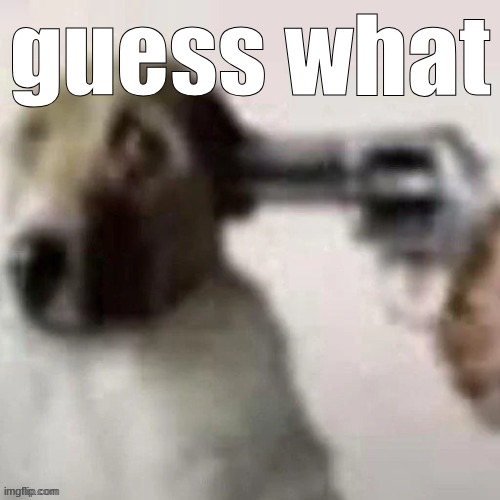 dog gunpoint - Imgflip