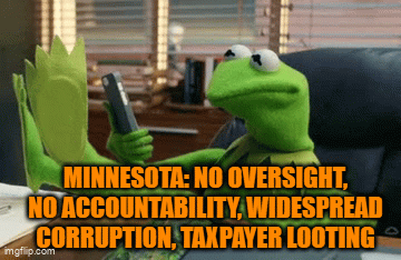 Minnesota: no oversight, no accountability, widespread corruption ...