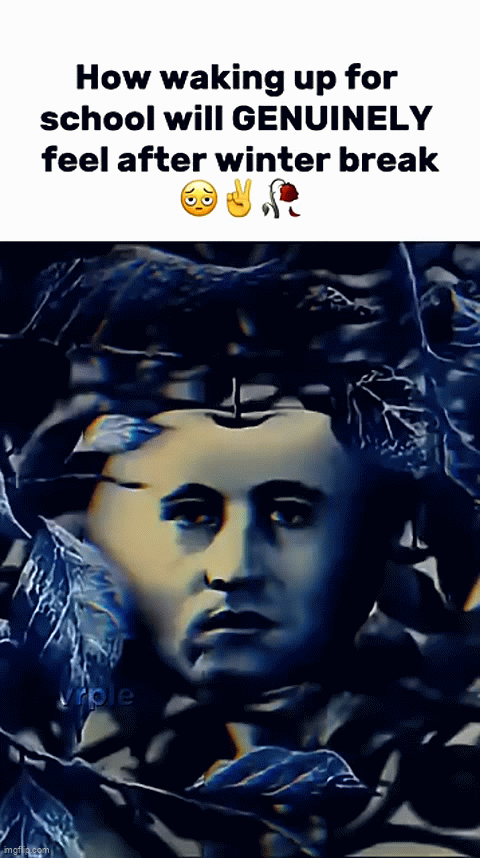 Animated GIF - Imgflip